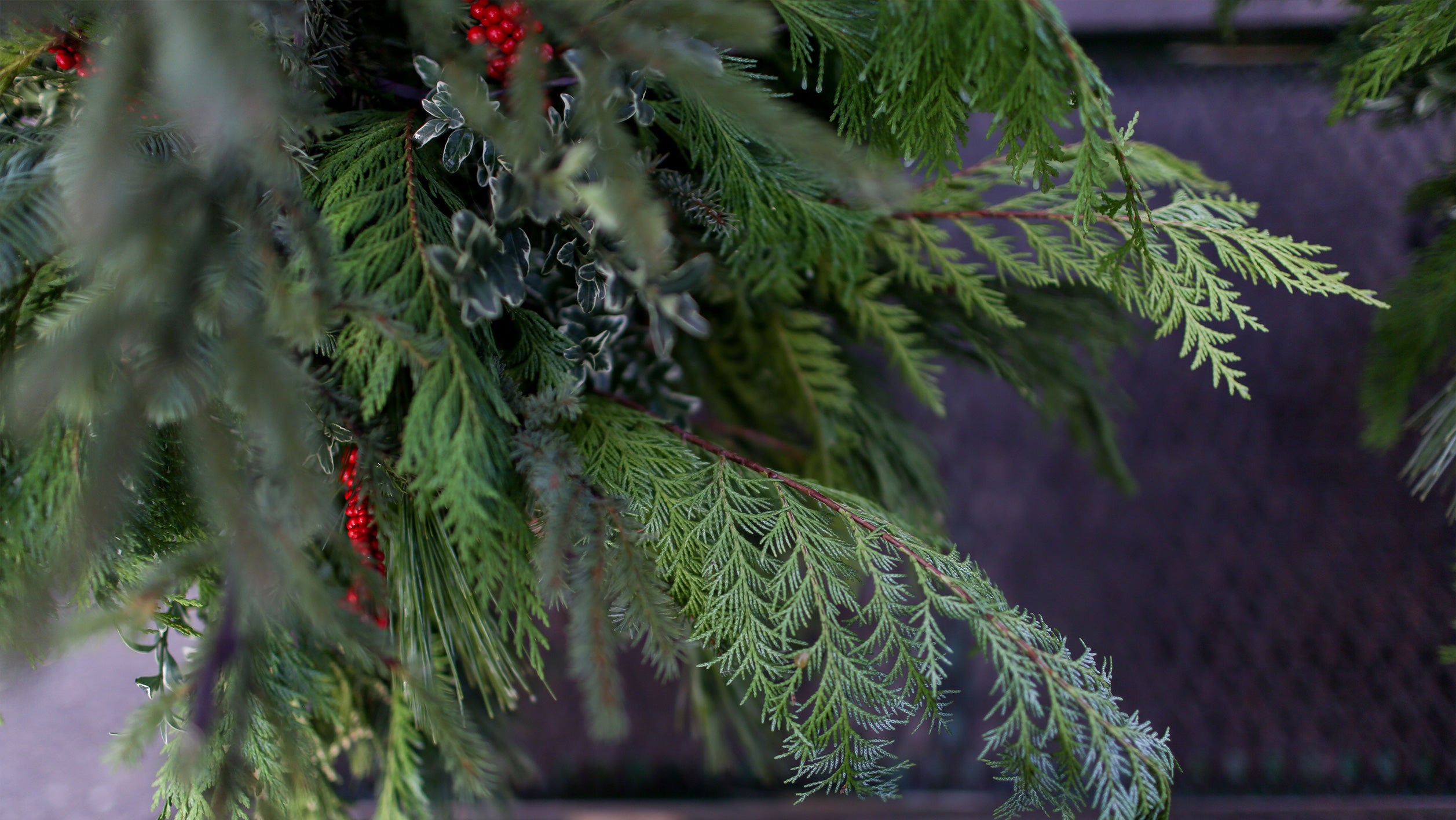 Our Secrets to Keeping Holiday Greens & Ideas Fresh
